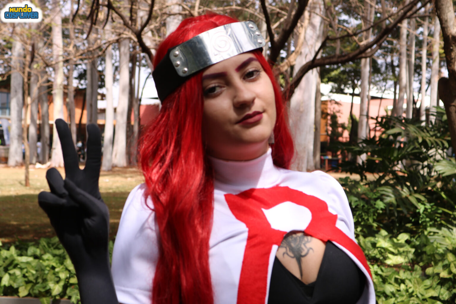 Os melhores cosplays do 23º Ribeirão Preto Anime Fest - Mundo Cosplayer