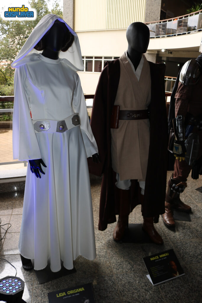 Jedicon retorna triunfalmente com bom público - Mundo Cosplayer