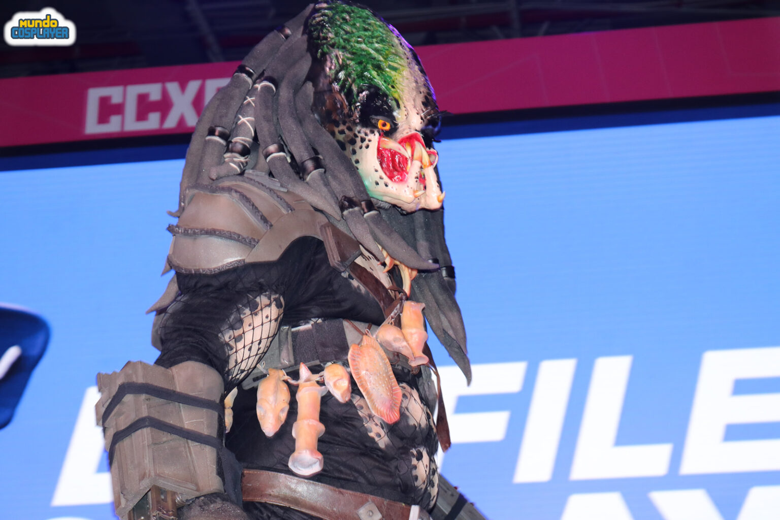 Fotos dos Desfiles Cosplay e da Final do Concurso Cosplay da CCXP22 ...